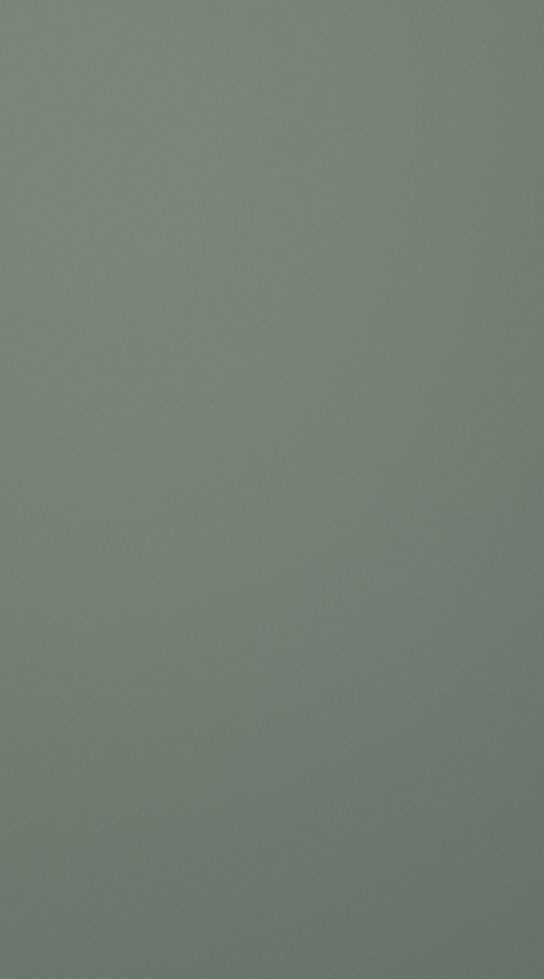 Lacquered door, Chic, TML16, Reed green, matt | Puustelli